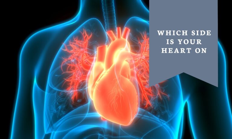 Which Side Is Your Heart On - Hospital Nino Jesus